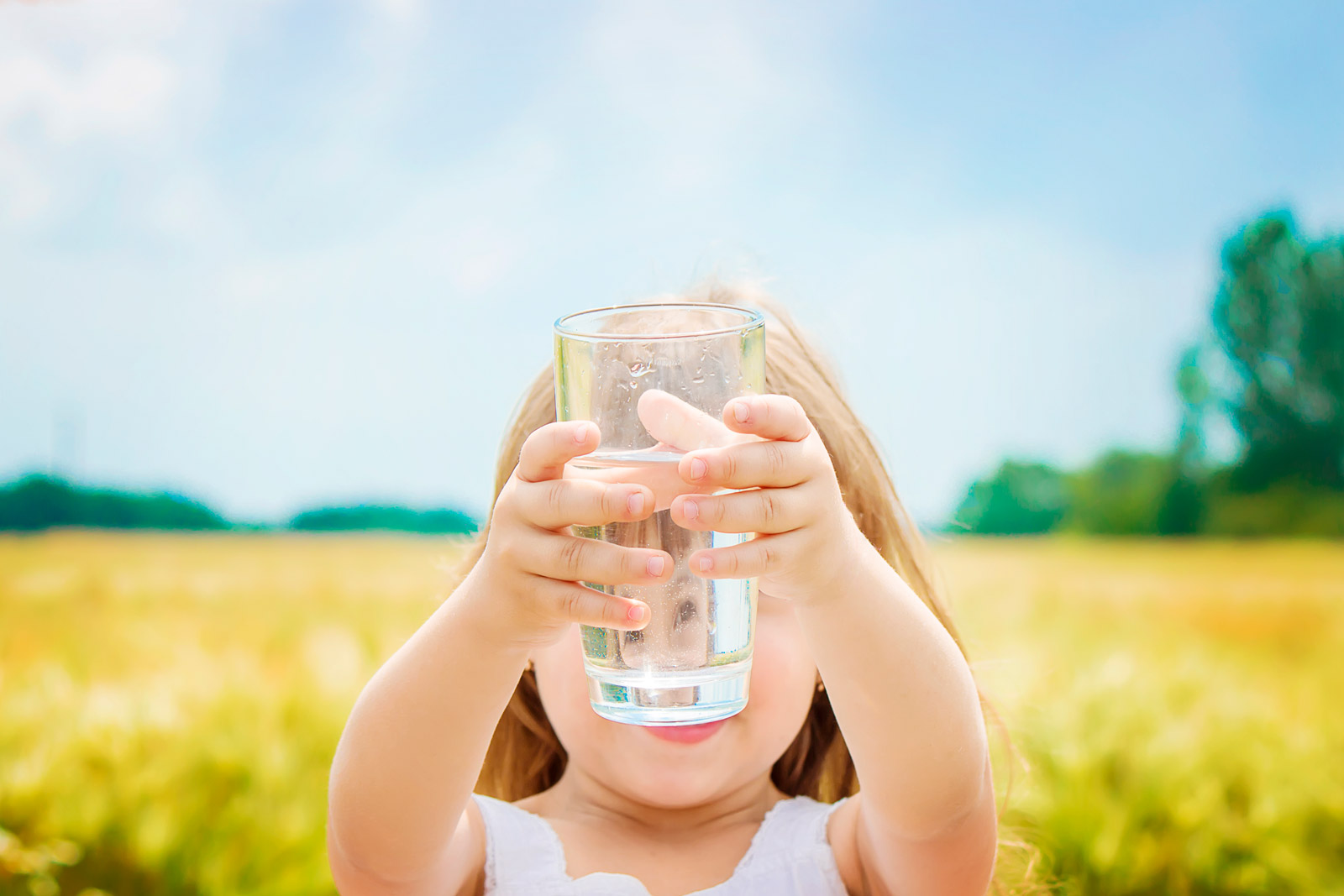 Werken aan water voor later - Waterbedrijf Groningen